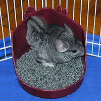 Premium Pelleted Paper Rabbit Litter 50 Pound Bag (Marshall/Peters Rab ...